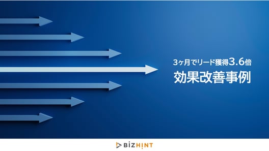 3分でわかるBizHint